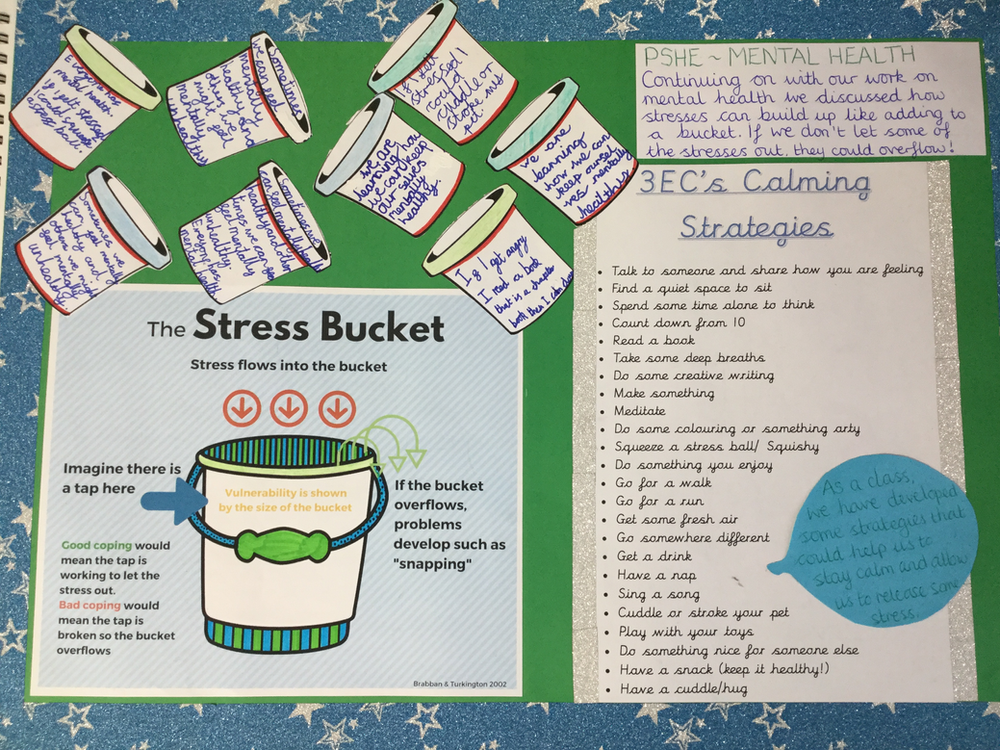 The Stress Bucket