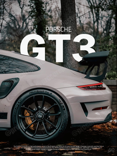 Porsche GT3 Poster | Procure Posters