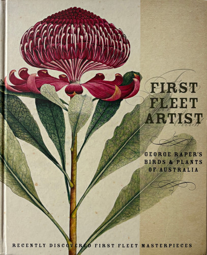 First Fleet Artist by Linda Groom, first edition | Blackheath Books