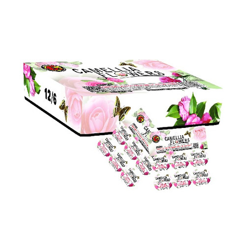 Camelia Flower | Kent Fireworks