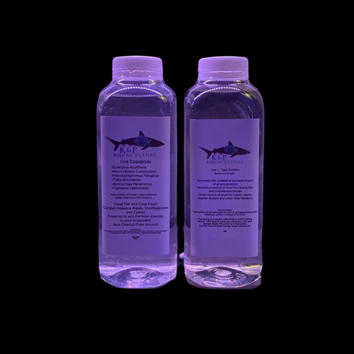 K&P Copepod(6 species) and Rotifers | K & P Aquaculture