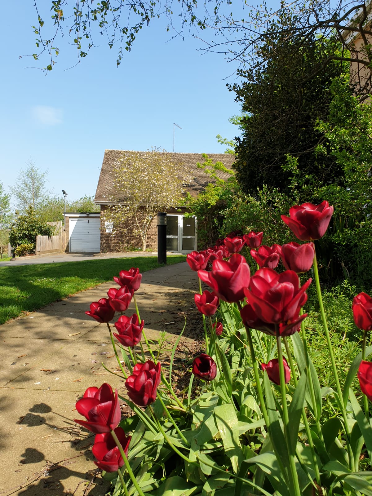 Broad Horizons | Midlands Therapy in Northampton