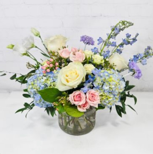 Bridgerton | Mustang Garden