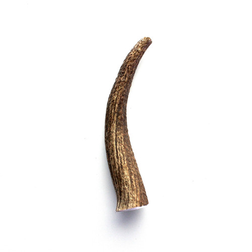 Large Elk Antler Dog Bone (Whole)