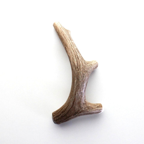 Medium Deer Antler Dog Bone
