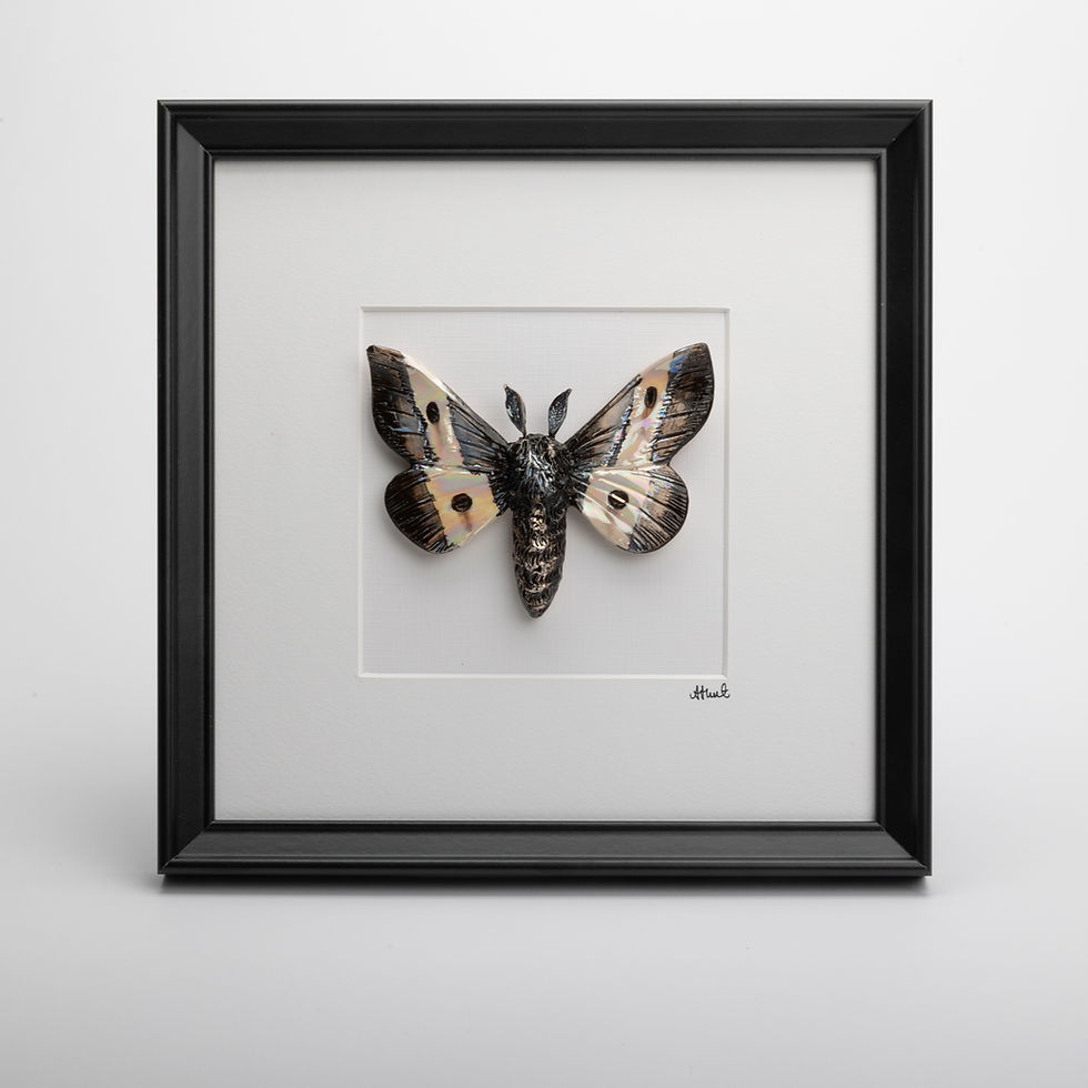 Nebula Stagbeetle | Anna Collette Hunt