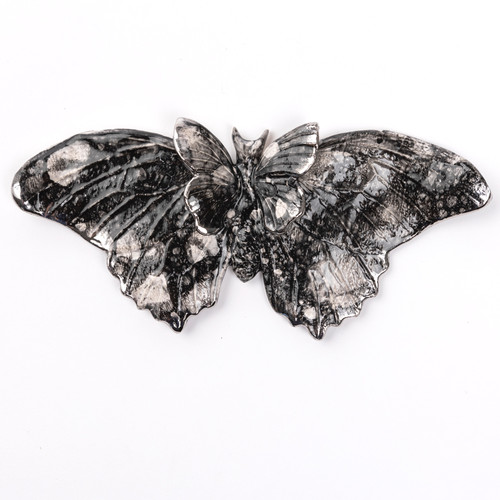 Moon Glazed Butterfly | Anna Collette Hunt