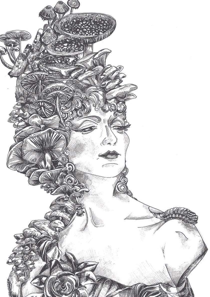 SHOP PRINTS | Anna Collette Hunt