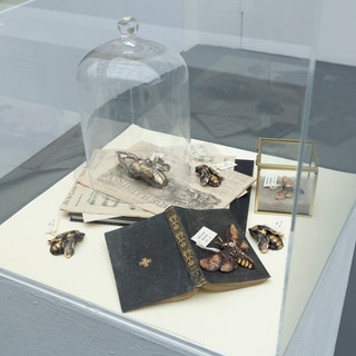 GALLERY | Anna Collette Hunt