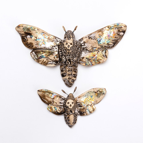 Glitter Death’s Head Hawk Moth (All Sizes) | Anna Collette Hunt