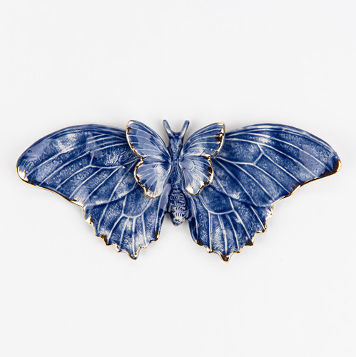 Calm Blue Butterfly | Anna Collette Hunt