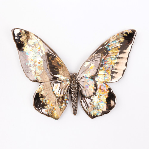 Star Dust Butterfly | Anna Collette Hunt