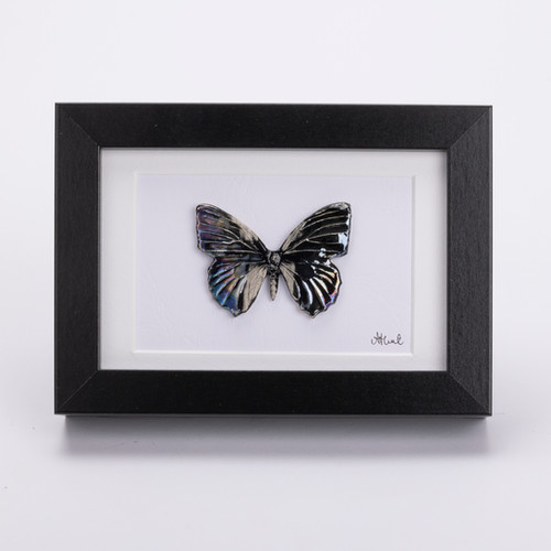 Midnight Butterfly | Anna Collette Hunt