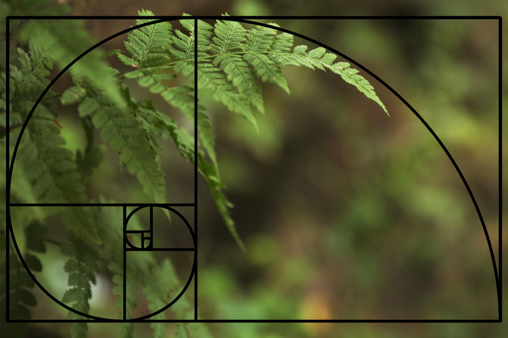 Why do we use Fibonacci numbers for Relative Sizing?