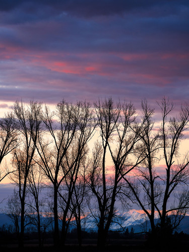 Lower Valley Silhouette | Eric Reese Photography