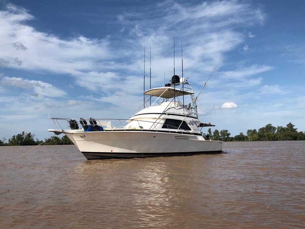 BERTRAM 43
