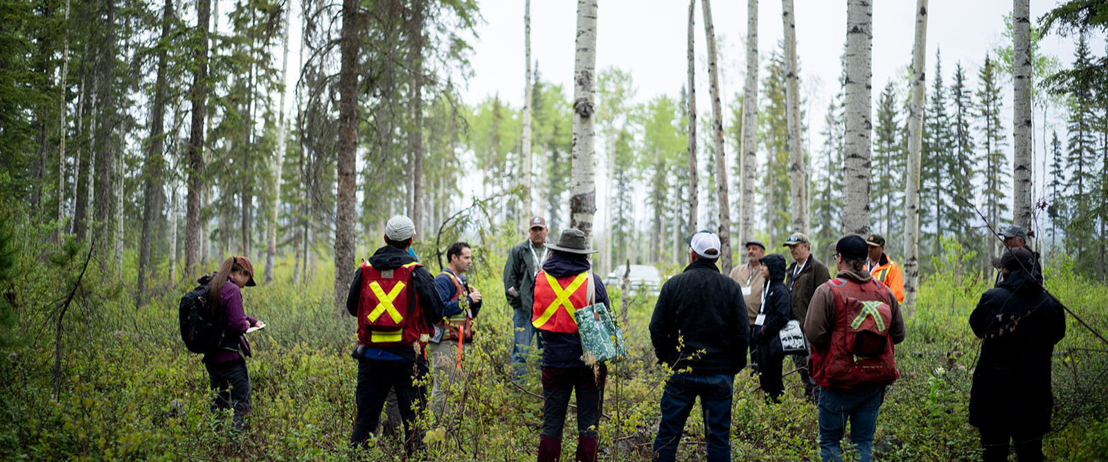 Community Forestry | BC Community Forest Assn