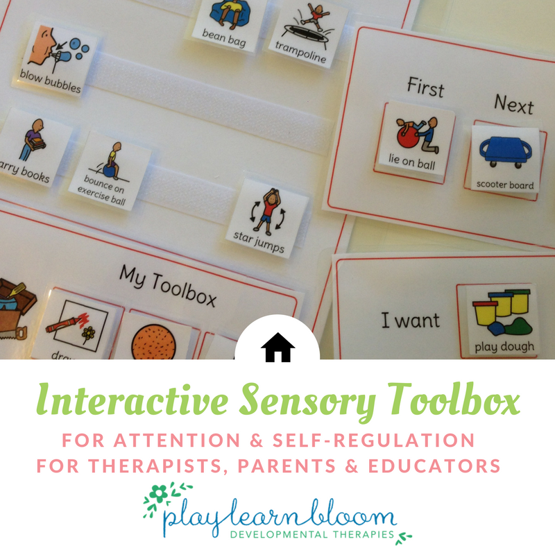 Self-regulation Tool