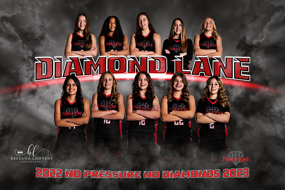 HOME | Diamond Lane Inc.