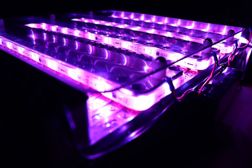 LED Lights for Battery Banks | Coventry Car Audio