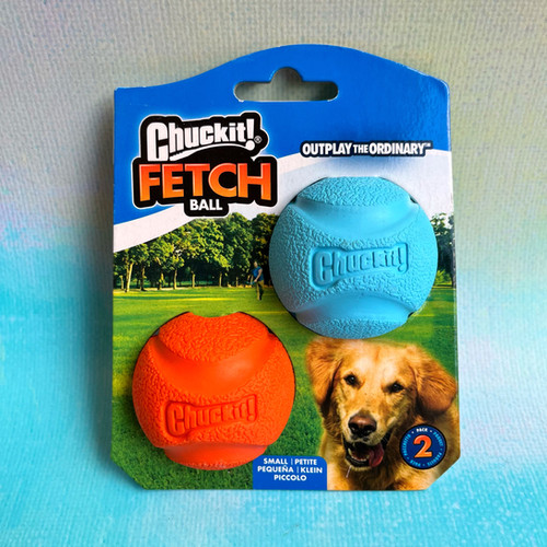 ChuckIt Fetch Ball 2 Pack | Walkie Mountains