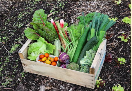 Fresh Seasonal Organic Veg Box | Big Inja Farming