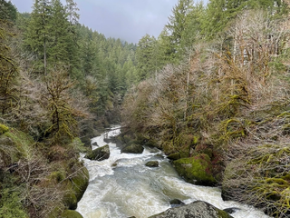 Projects | Bird Conservation OR