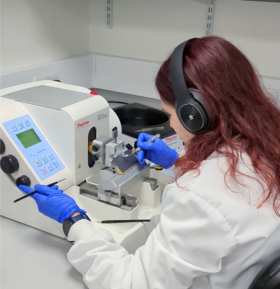 Português (Portugal)