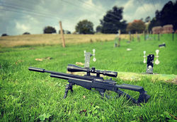 Alders Air Gun Range | Alders farm fishery