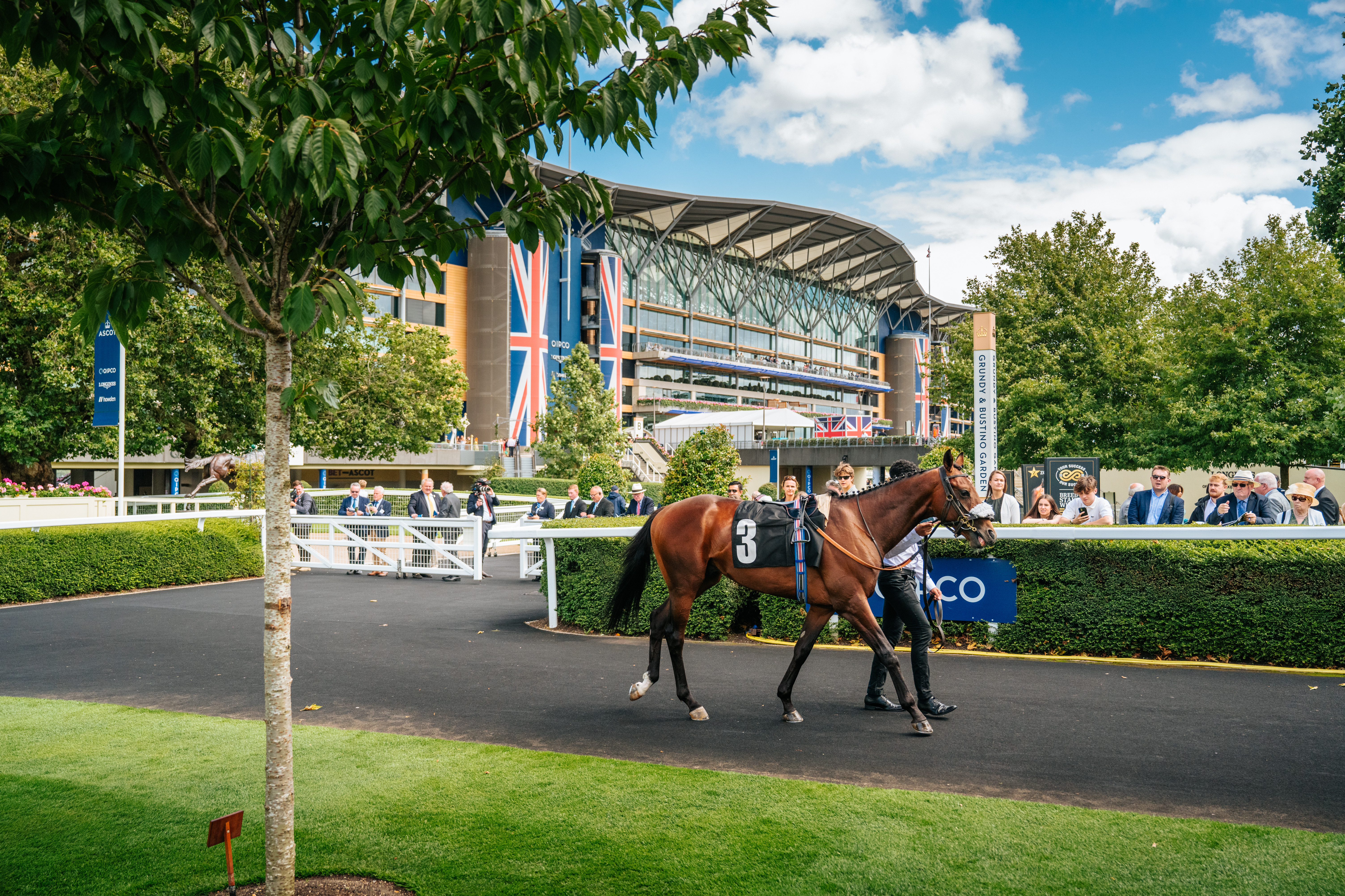 Ascot Racecourse | Excursions Show