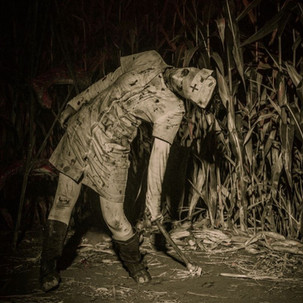 Hysteria at Connors Farm | Haunted Corn Field | Gallery | Danvers MA