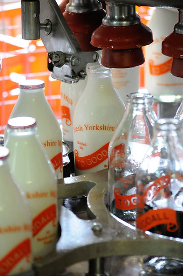 Home | Morning Fresh Dairies