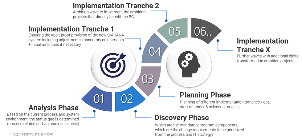 Maximizing SAP S/4 Value-Driven Program Design