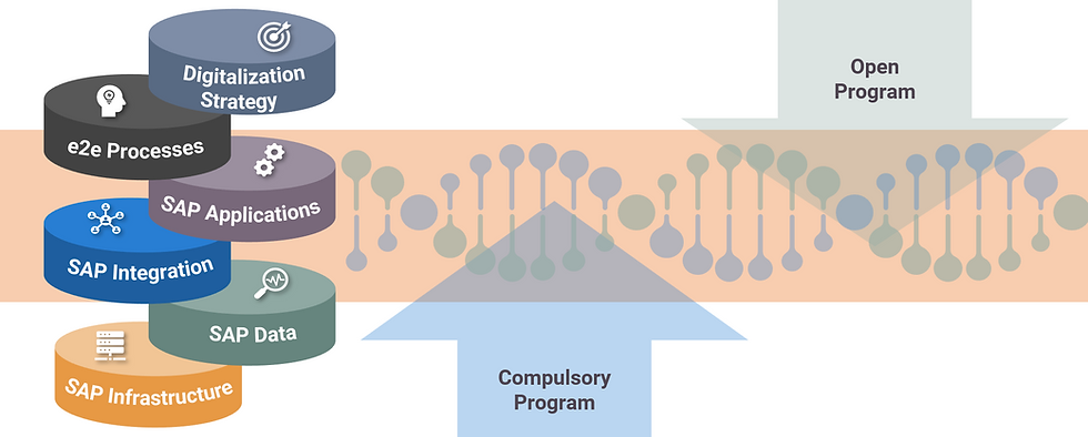 S/4 HANA Transformation Roadmap Design for SAP Implementations