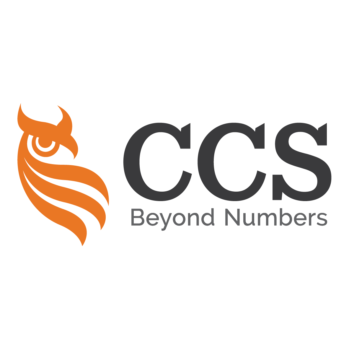 CCS | Auditor | Tax Agent | Business Advisor