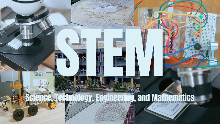 STEM | Wheel of Career