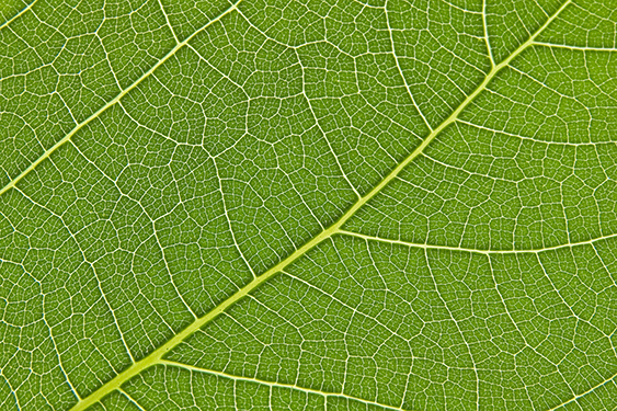 Patterns and Textures in Modern Photography