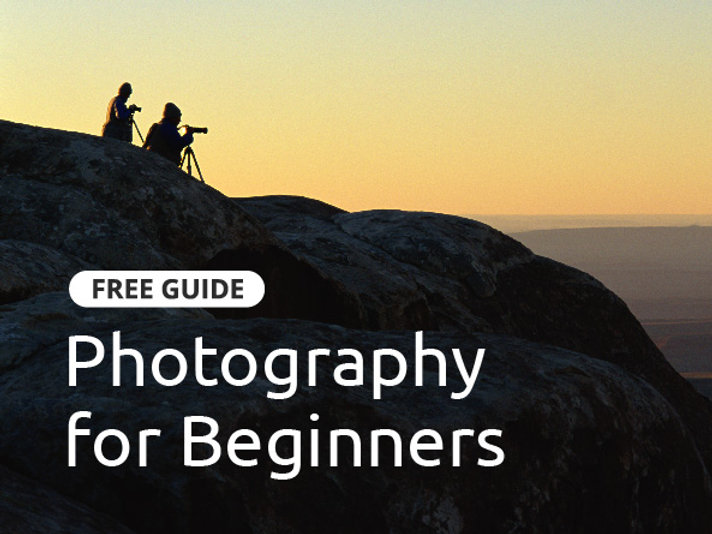 A Complete Guide to Photography for Beginners
