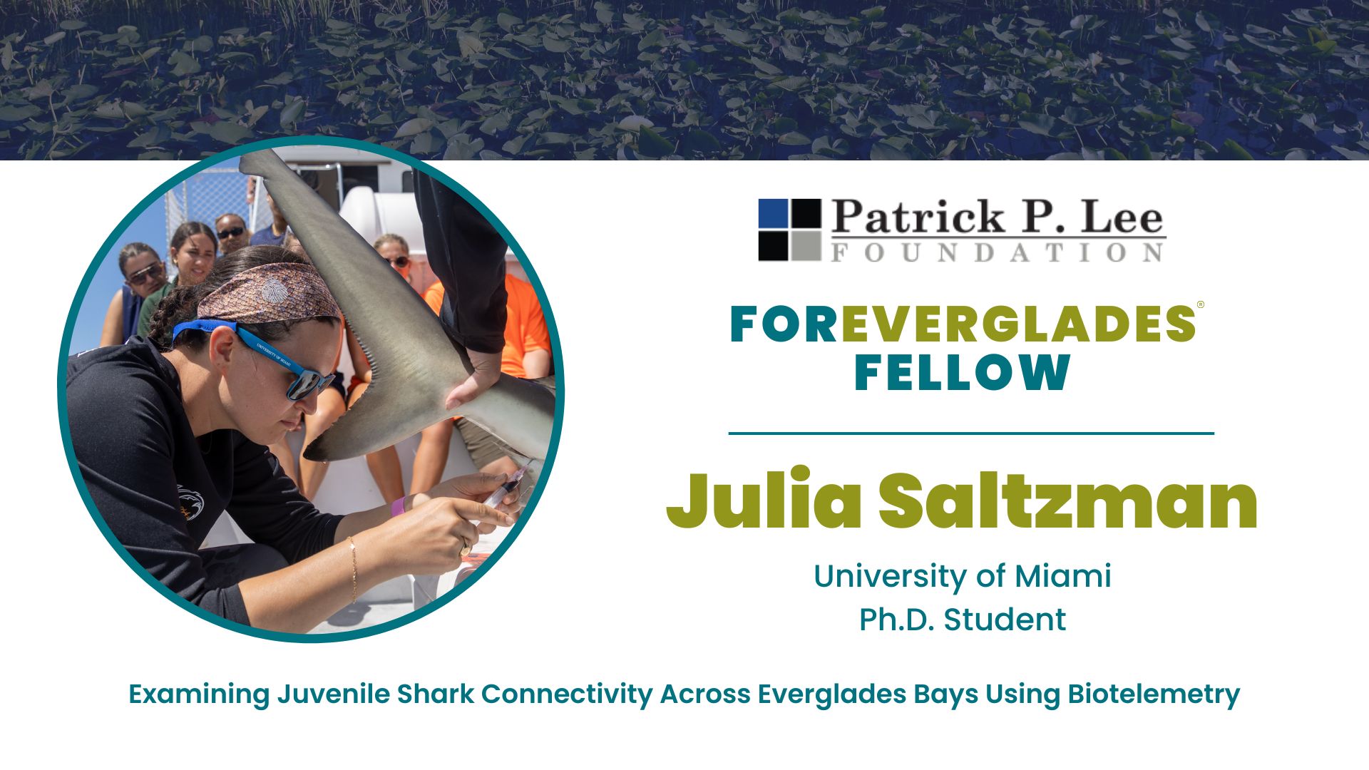 Investing in the Future of the Everglades: Meet the 2025-26 ...