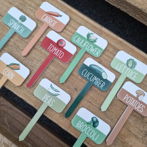 Vege Garden Tags | Little Bug