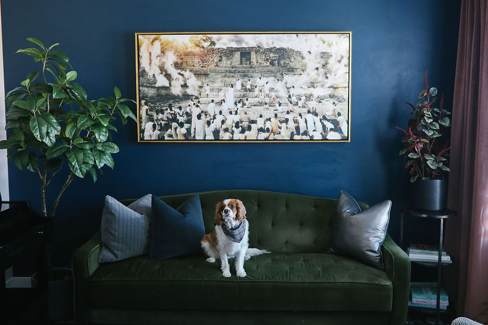 Interior Decorator | Anya's Decor | United States