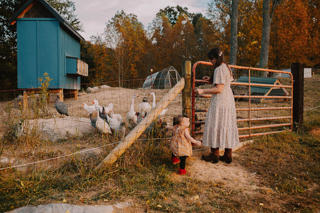 Homesteading | Vaughan Family Farm
