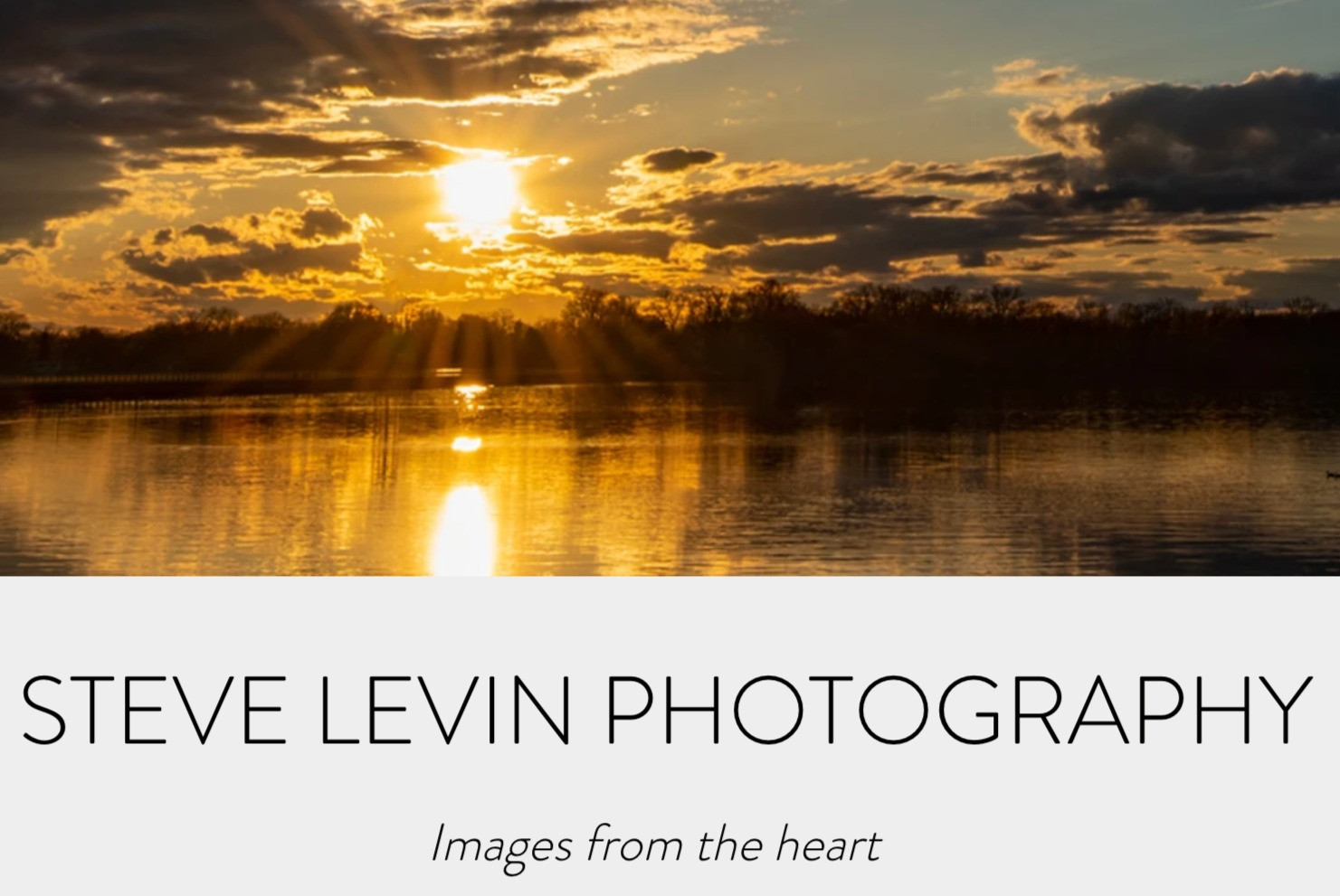 Testimonials | Steve Levin Photo
