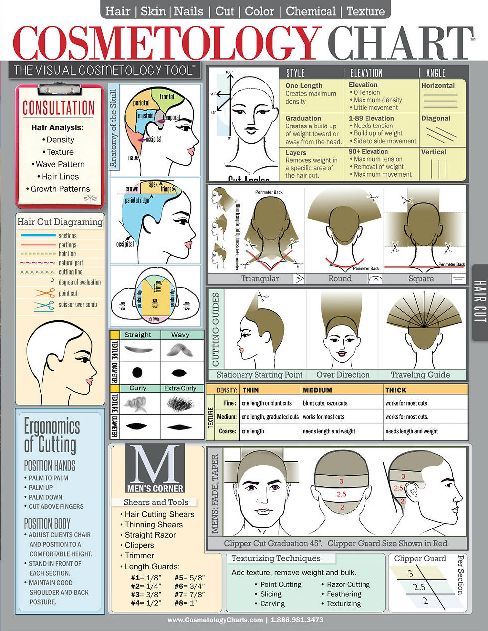 Cosmetology Cheat Sheets | Cosmetology Study Guides
