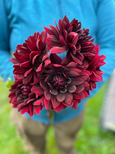 Sam Hopkins | Urban Farm Girl & Co