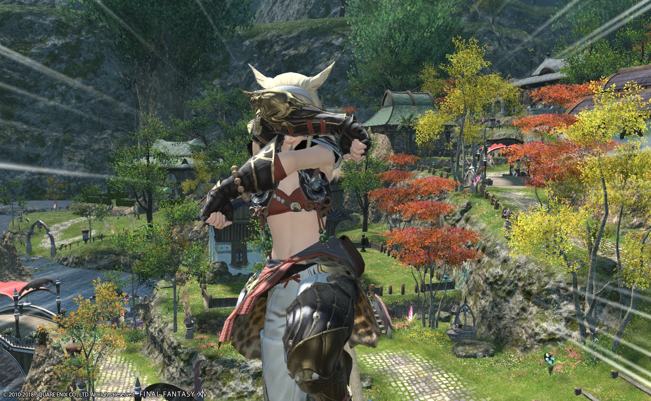 Marie Ronan 日記「モンクレベル70！ AF3装備！」 | FINAL FANTASY XIV, The Lodestone