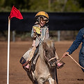 Normanton Rodeo & Campdraft | Normanton Rodeo Asso