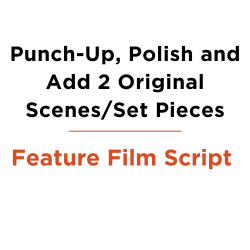 Punch-Up, Polish + 2 Original Scenes/Set Pieces - Feature Film Script ...