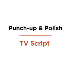 Punch-up and Polish - TV Script | Script Curbsultant