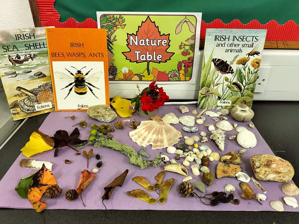 Our Nature Table
